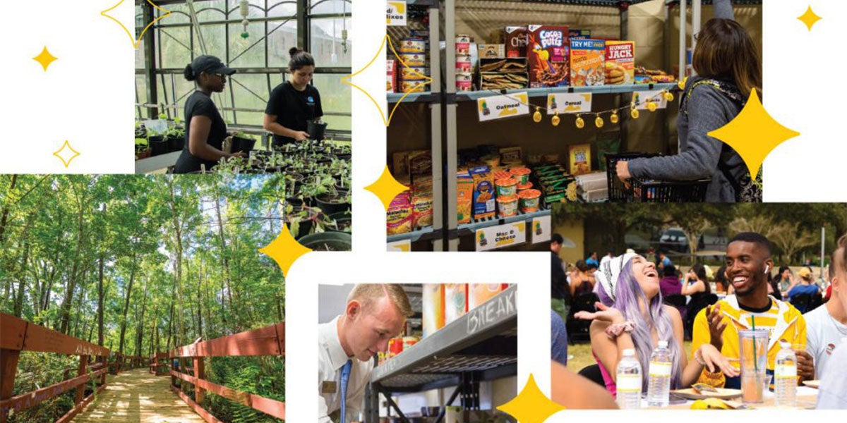 UCF Campus Wellness: Supporting Students' Well-Being and Success