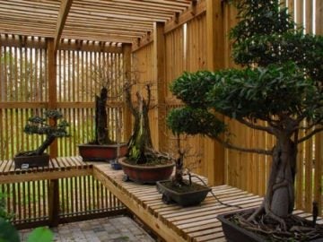 800 Acres of Green | University of Central Florida News