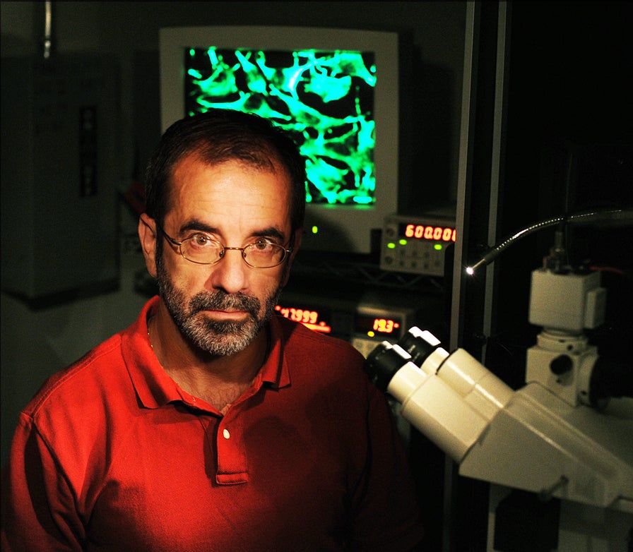 UCF Scientists Control Living Cells With Light | University of Central ...