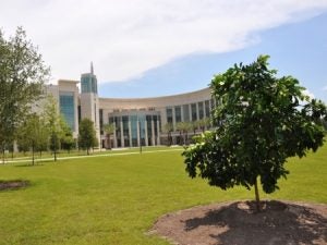 'Remembering Her Life with Life' | University of Central Florida News