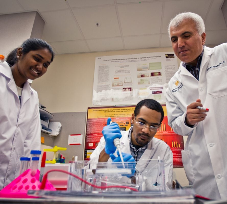 UCF Licenses Bacteria Test for Possible Crohn's Treatment | University ...