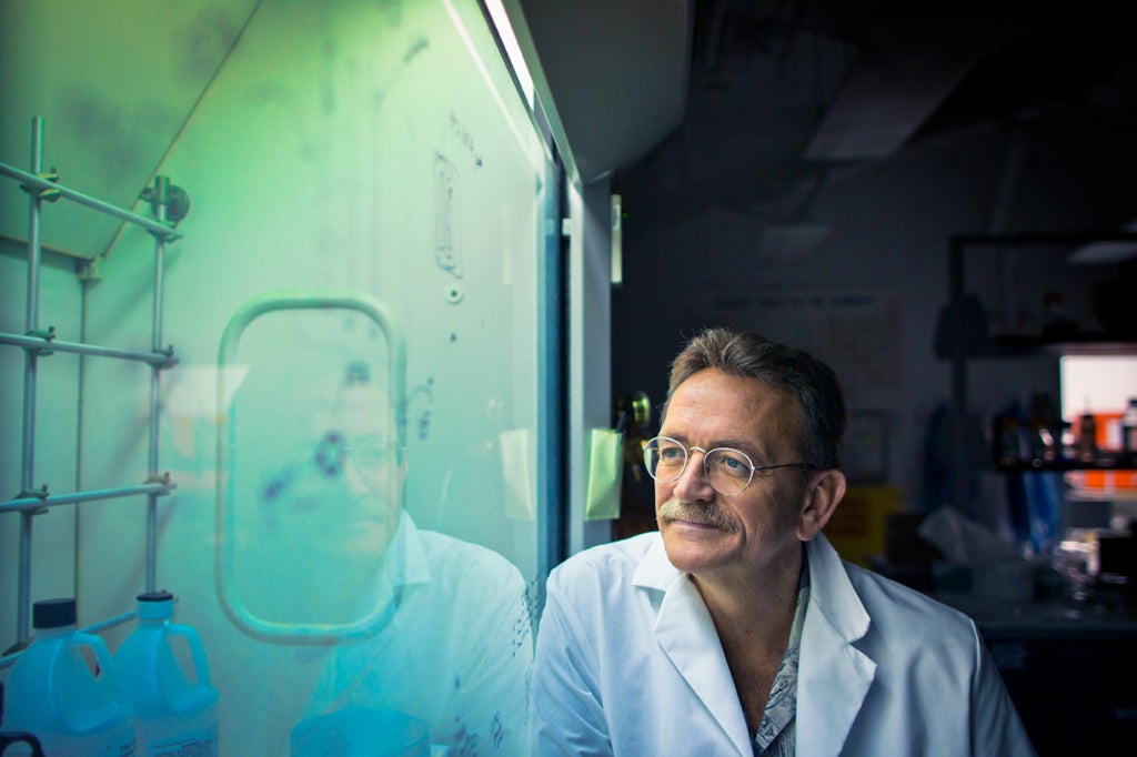 A First: Brain Support Cells from Umbilical Cord Stem Cells ...