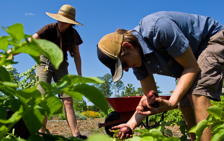 UCF Arboretum Launches Educational Workshop Series | University of ...