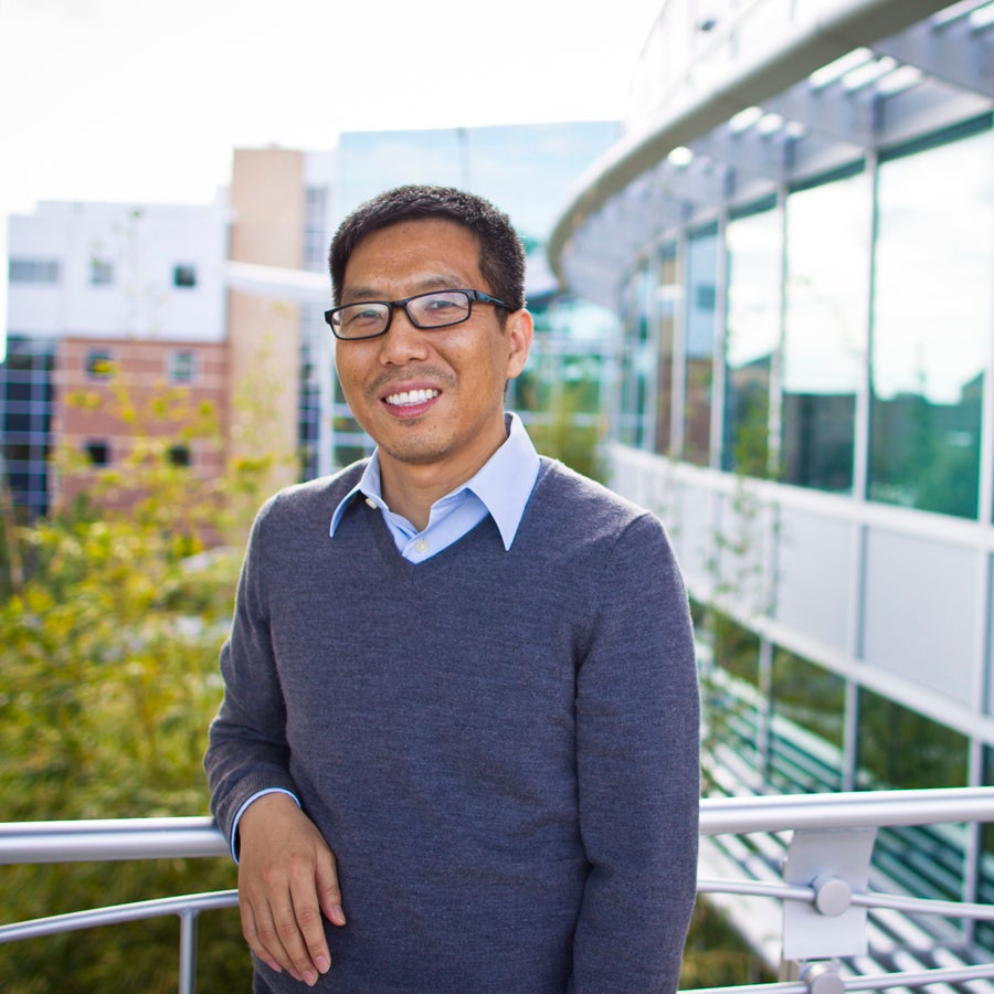 Computer Sleuthing Helps Unravel RNA's Role in Cellular Function ...