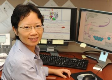 UCF Computer Scientist Helps Unlock Health Mysteries | University of ...