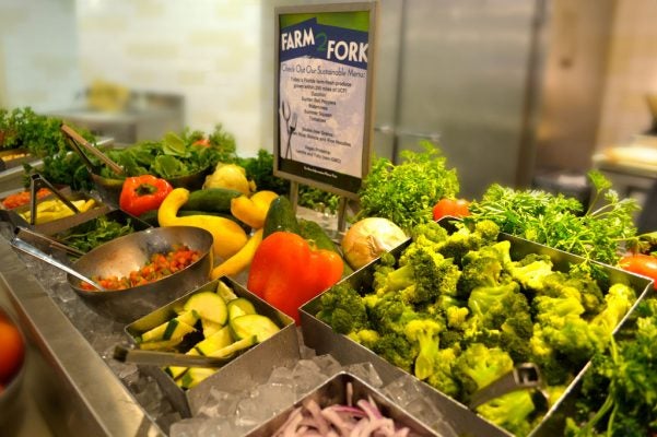 New Dietary Alternatives Offered on Campus | University of Central Florida News