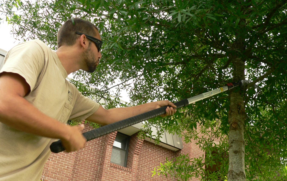 UCF to Celebrate Tree Campus Title With Arbor Day Activities ...