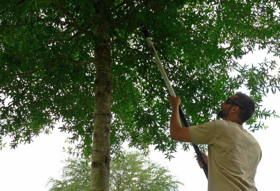 Plant Trees, Tend to Community Garden Friday, April 18 | University of ...