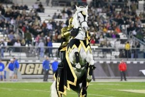 Pegasus and the UCF Knight | University of Central Florida News