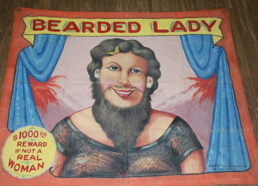Bearded Lady Art