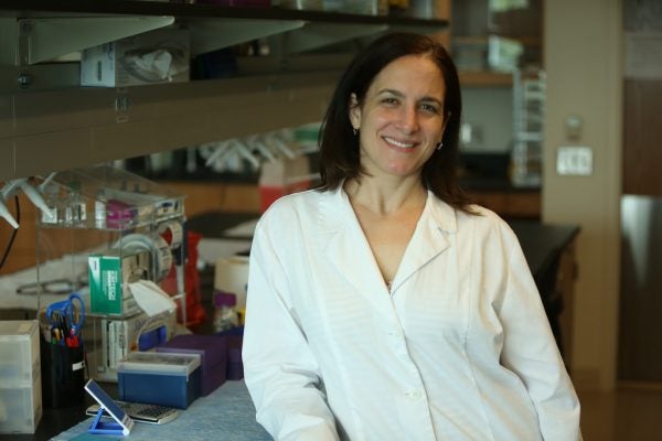 Research at UCF reveals workings of protein on cancer cells