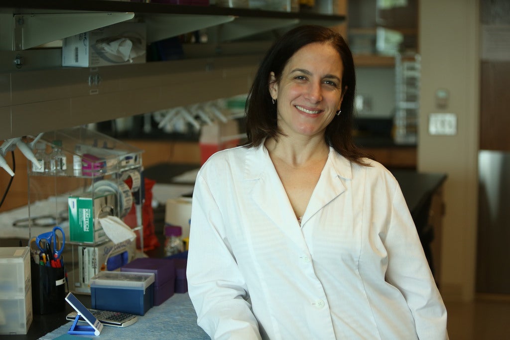 Research at UCF reveals workings of protein on cancer cells