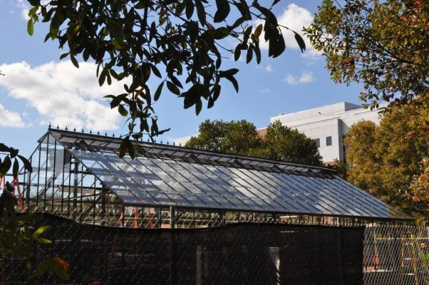 New UCF Greenhouse Takes Root | University of Central Florida News