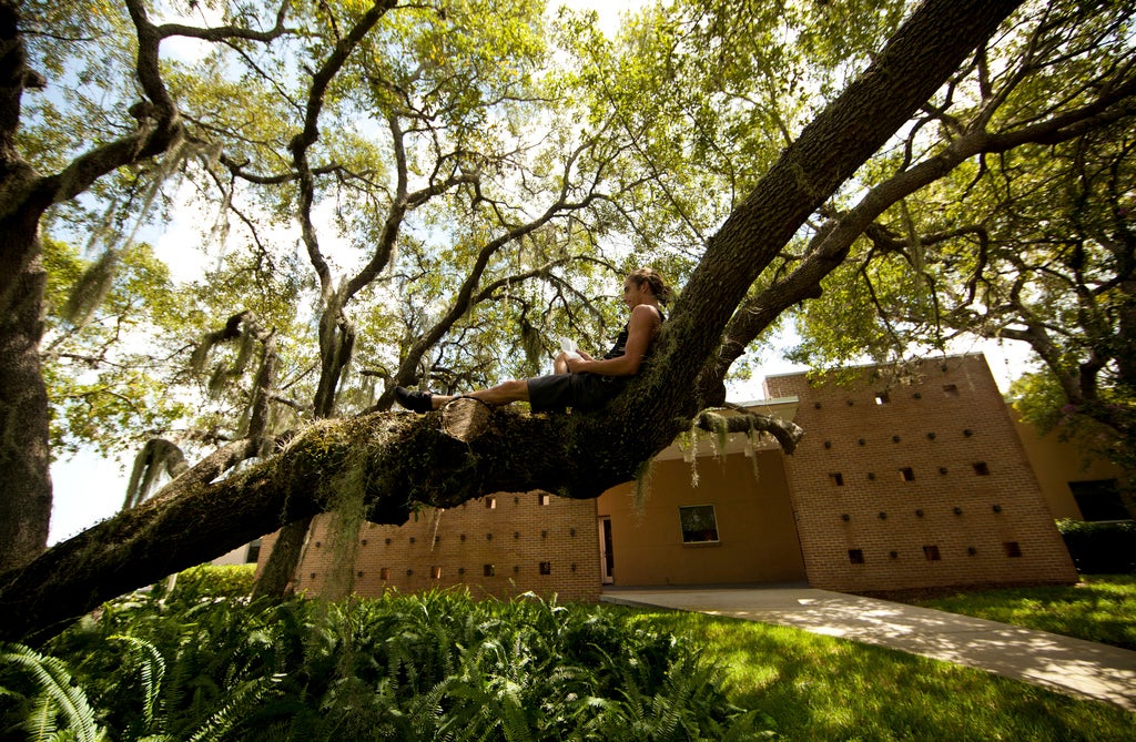 High Schoolers to Plant Trees in Arboretum for Arbor Day