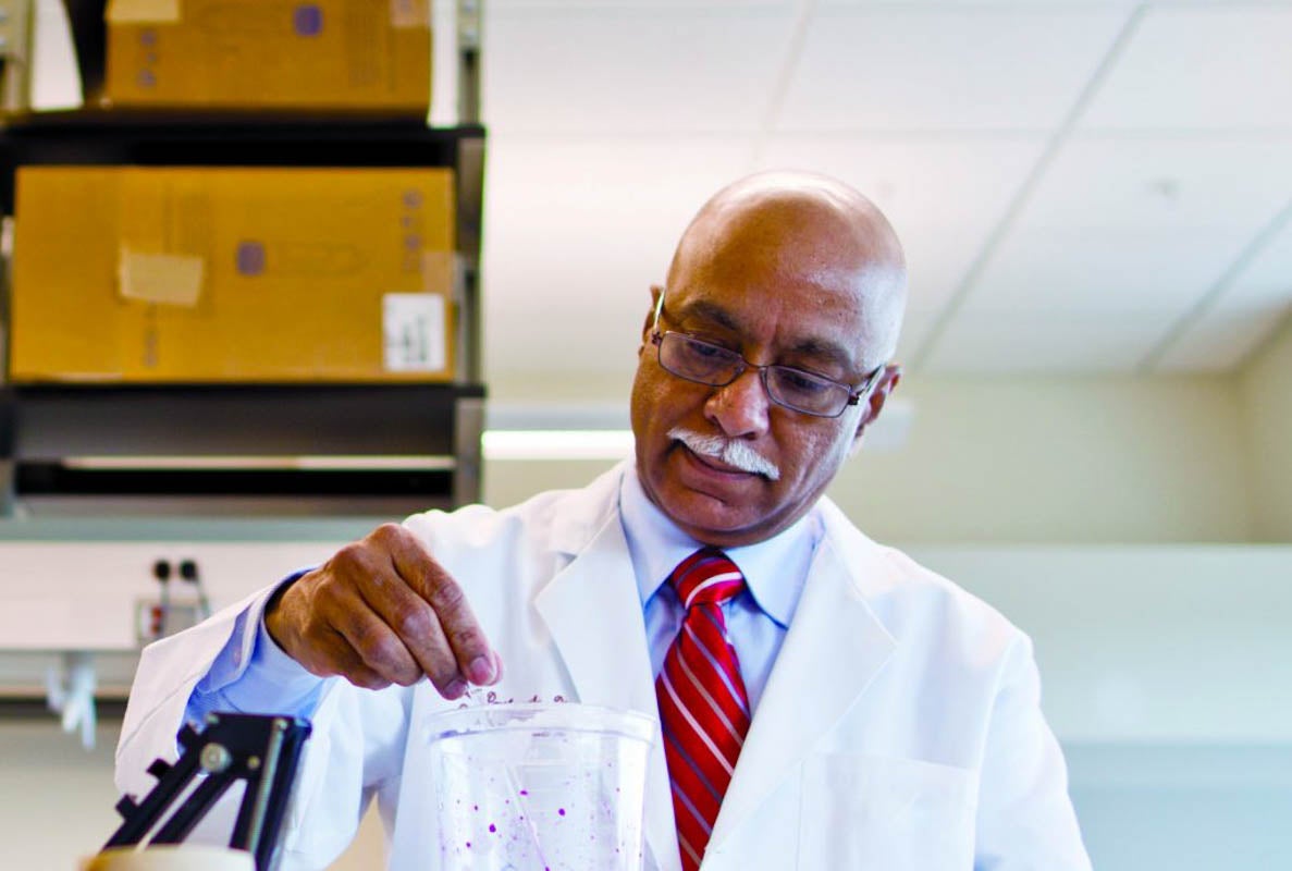UCF Research: Sesame Oil Shown To Reduce Heart Disease Risk