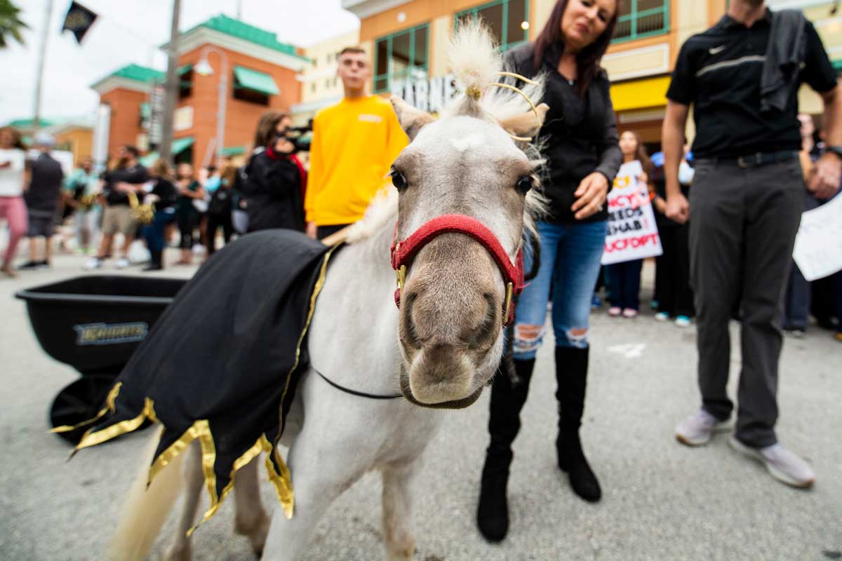 Fan Guide to 2019 UCF Football Season