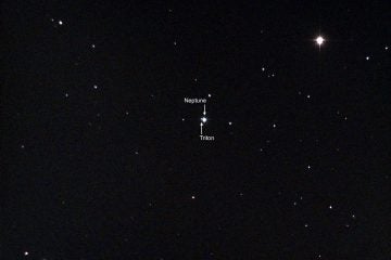 Neptune Celebrates 175th Birthday, Still a Mystery Worth Solving ...