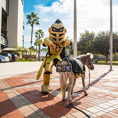 5 Gifts for the Knight in Your Life | University of Central Florida News