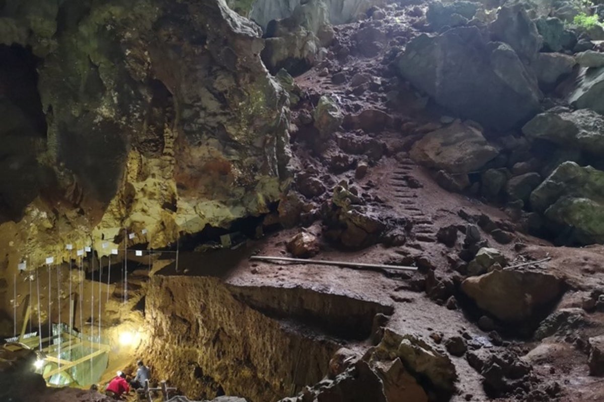 Human Migration Timeline Redrawn by Fresh Fossil Analysis | University ...
