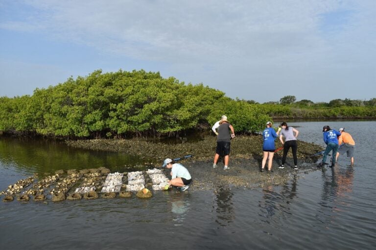 UCF Biology Researchers Win Awards From NOAA to Support Critical ...