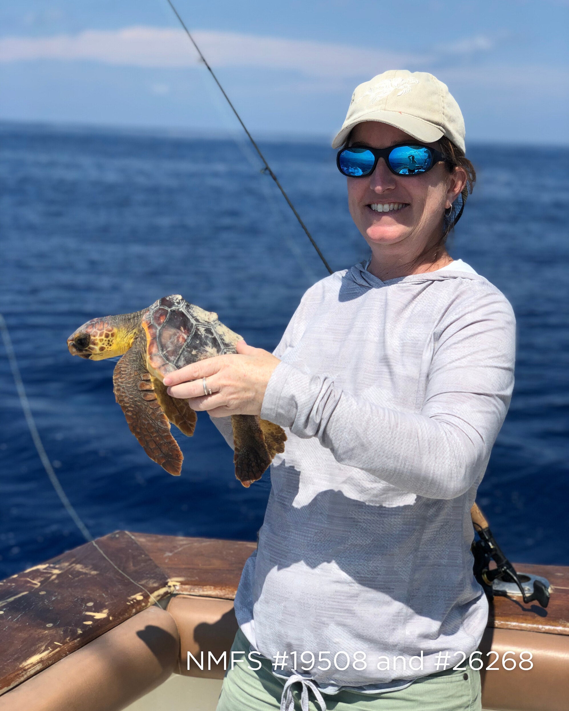 UCF Researchers Advance Knowledge About Juvenile Sea Turtles' Early ...