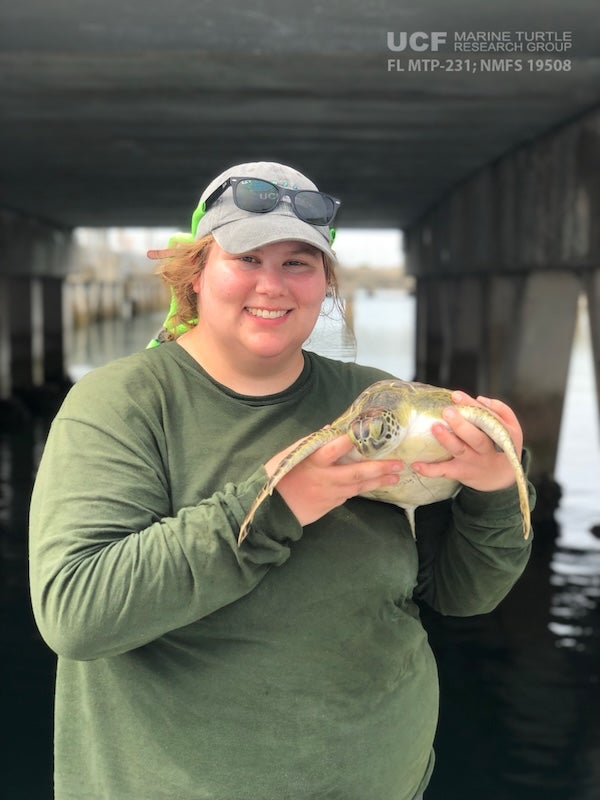 UCF Researcher Reveals How Genetic Variation Shapes Sea Turtle Immune ...